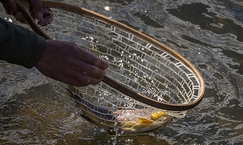 Fly Fishing Net: Choosing the Perfect One For You | Nail Travels